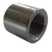 China Stainless Steel 304 Threaded End Cap 6 Inch SCH10 Forged Pipe Fitting for sale