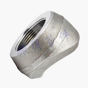 China Stainless Steel SS304/316 Weldolet Forged Pipe Fittings Threaded ASME B16.9 3000lbs for sale