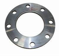 China Stainless Steel Flange Forged Fittings Plate Flange Class 300-3000 A182 Grade F 316 Custom Size for sale