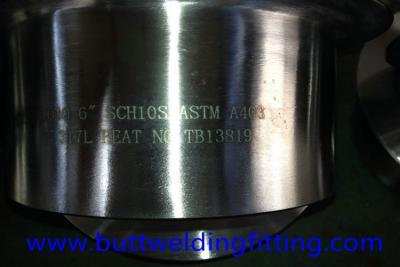 China ANSI B16.9 ASME A403 317L 6 Inch SCH10S Stainless Steel Stub End Butt Weld Fitting for sale