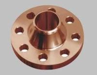 China Large Diameter Weld Neck Flange for sale