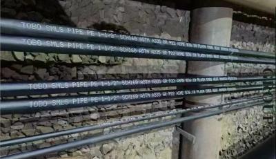 China API Carbon Steel Pipe 2.5-80mm Thickness SCH10-XXS BE End for Oil Industry for sale