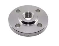 China Threaded Flange DN25 PN40 EN 1092-1 P245GH Hot Dip Galvanized Steel Pipe Fitting for sale