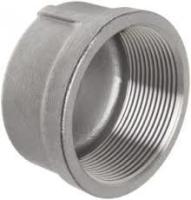 China Stainless Steel Pipe Caps BSPP BSPT NPT Threaded 1/2 to 68 Inch Butt Welding Fittings for sale