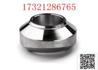 China Forged Butt Weld Pipe Fittings Equal Threadolet Sockolet Weldolet for sale