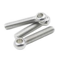 China Stainless Steel Eye Bolt Metric GB 798 M2 M6 Lifting Fastener for Industrial Rigging for sale