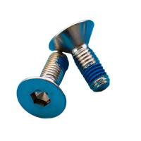 China Customized M5 M6 Nylok Lock Screws for Electrical Equipment DIN Standard Steel Stainless for sale