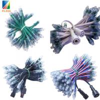 China 12MM WS2811 RGB Pixel String Lights Programmable Addressable For Christmas Tree for sale