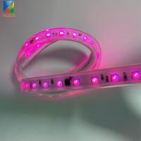China Dimmable LED Pixel Strip , Neon Flexible Strip Light Waterproof Remote Control for sale