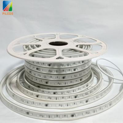 China Addressable Digital LED Strip Light Waterproof IP66 5050 RGB for sale
