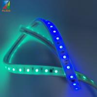 China Addressable Digital LED Strip Light Waterproof IP66 5050 RGB for sale