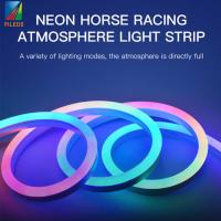 China Toxin Free Rgbic Neon Rope Light 16×25mm Environmentally Friendly for sale