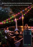 China Waterproof IP44 LED Ball String Lights Remote Control For Outdoor Decoration for sale