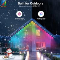 China RGBIC LED Christmas Lights Under Eaves IP68 Waterproof For Outdoor Decoration for sale