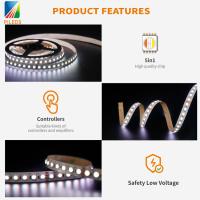 China Hot Seeling DC24V Smd 5050 5 in 1 96leds/m 12mm 5 Colors in 1 Led Rgb Colorful Changing Rgbcw Led Strip for sale