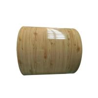 China Color Coated SS Coil 304, 210, 316, 904 SS Coil With Long Service Life for sale