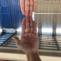 China AISI ASTM SUS SS 430 201 321 316 316L 304 Stainless Steel Sheet / Plate for sale