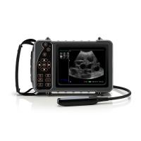 China Yonker Portable Ultrasound Machine Ultrasound Machine for Animal/cattle Cow Horse Goat Use Veterinary Instrument for sale