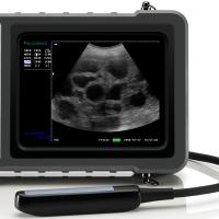China Yonker Portable Ultrasound Machine Ultrasound Machine for Animal/cattle Cow Horse Goat Use Veterinary Instrument for sale