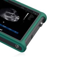 China Yonker Factory Price Veterinary Ultrasound Machine Veterinary Ultrasound Portable Xuzhou Veterinary Ultrasound for sale