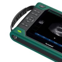 China Yonker Factory Price Veterinary Ultrasound Machine Veterinary Ultrasound Portable Xuzhou Veterinary Ultrasound for sale