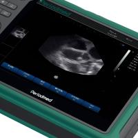China Yonker Factory Price Veterinary Ultrasound Machine Veterinary Ultrasound Portable Xuzhou Veterinary Ultrasound for sale