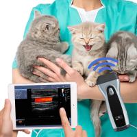China Wifi Yonker Double Probe Mini Handheld Cow Pet Animal & Portable Machine Vet Veterinary Ultrasound Scanner Monitor for sale