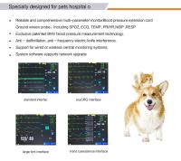 China VE12 12.1 Inch Portable Veterinary Monitor Ecg Monitor Yonker 2 Hour 3 Level Audio/visual Alarm Veterinary Monitoring Instrument for sale