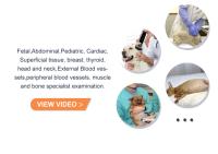 China Yonker Pocket Veterinary Ultrasound Scanner Portable Handheld WiFi Color Wireless Ultrasound Probe Vet for Animal Cat Pet Dog for sale
