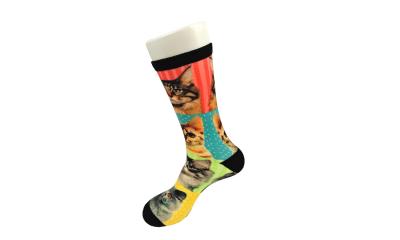 China Eco Friendly Mens 3D Animal Socks Antibacterial Polyester Spandex One Size for sale
