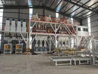 China Electric Driven Dry Mortar Mixing Line Providing Production Circle 3-6minutes Equipment for Construction Material Mixing for sale