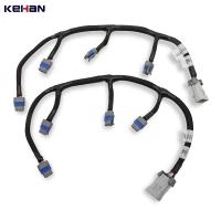 China PVC Tube Automotive Dominator LS COIL Injector Ignition Wire Harness and Cable Assembly for sale