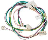 China Customized Length Copper Conductors Power Window Wire Harness with OEM Jst Connector for sale
