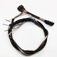China Length Customized Length Auto Engine Electrical Wiring Harness for Lexus Headlight for sale