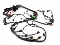 China Tinned Copper Conductor Complete Automotive Electrical Wiring Harness Connector for Cars for sale