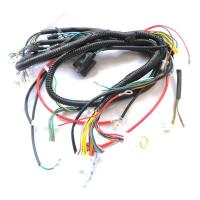 China CB WIRE Custom Ford Mustang Tail light wire harness with RoHS and ISO Certification for sale