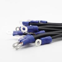 China Electronic Wire Harness for LS ECM OEM and Test Platform in EURO Market for sale