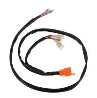 China Customized OEM ODM RoHS Compliant Plastic Speaker Automotive Wire Loom Harness with PVC Tube for sale
