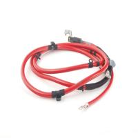 China OEM ODM Rohs Compliant Auto Car Battery Terminal Screw Terminal Copper Optional CN FUJ KEHAN PVC for sale