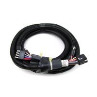 China Customized Auto Engine Wiring Harness Cable Assembly for OEM Color in America Market for sale