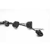 China Customized Auto Engine Wiring Harness Cable Assembly for OEM Color in America Market for sale