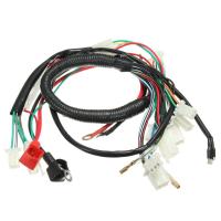China Custom Wire Harness Cable Assembly for Home Appliance in America Main Market America for sale
