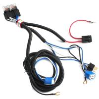 China 12 Pin 1.25 Pitch Jst Female Ribbon Cables Connector Cable Assembly Conductors Copper for sale