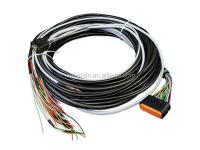 China Male-Female OEM ODM ISO9001 Auto 6 Pin Connector Wire Harness and Cable Assembly for sale