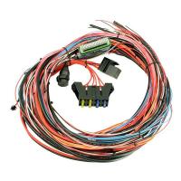China 2 Pin Amp Car Waterproof Electrical Connector Plug 1FZ Wire Harness 2891973 Engine Wiring Harness for sale
