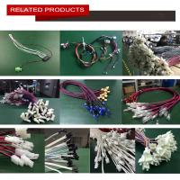 China 8 Pin RJ 45 Female Cat 6 Network Connector Cable for Oceania Market Customization for sale