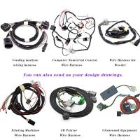 China Custom Jst Cable Molex Cable East Asia's Top-Ranked Product from OEM ODM Wire Harness for sale