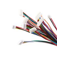 China Customized Jst Heat Tube Body Wire Harness for Home Appliance Length Customer Request for sale