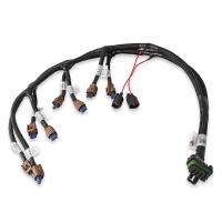 China Custom Wire Harness Linking a Loom 34 Pin ECU to Female Jumper Wires for Motorcycles for sale