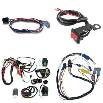China 10-15 Days Lead Time Custom 2500 W Electric Scooter Wiring Harness for Oceania Market for sale